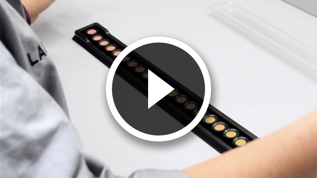 Farnsworth-Munsell 100 Hue and Color Test | X-Rite Color Vision Test