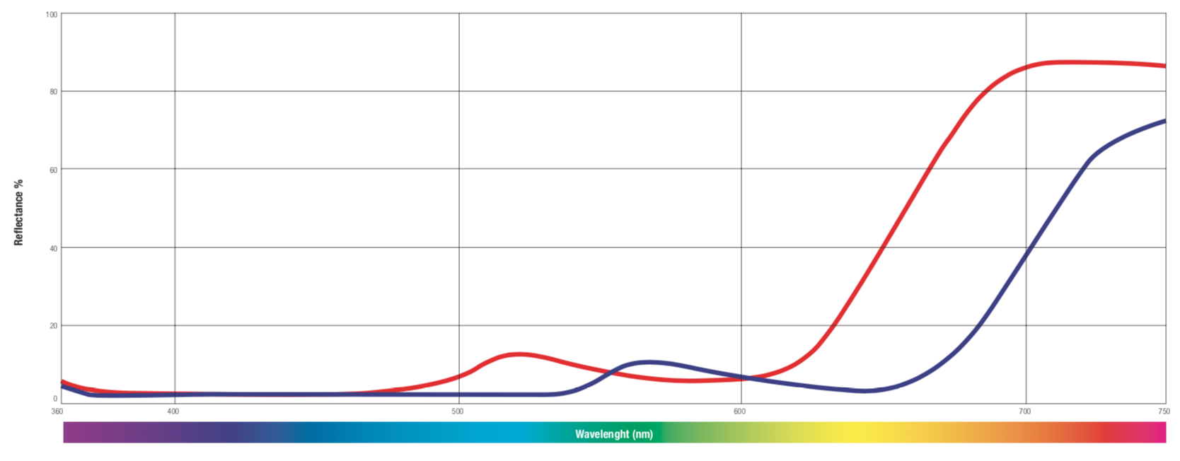 Two Essential Components of a Great Color Program