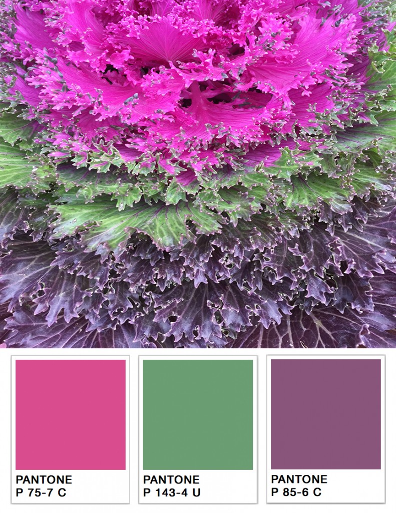 컬러 선택용 컬러 매칭 도구: CAPSURE | X-Rite Blog