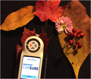 Using the CAPSURE to Capture Color Inspiration | X-Rite Blog