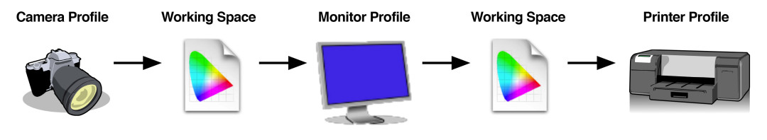 Color Managment in Print and Packaging | X-Rite Blog