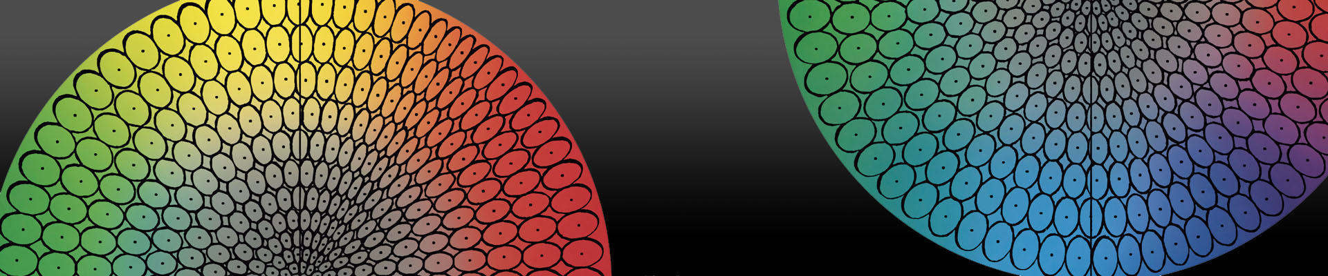 How To Set Your Tolerances for Consistent Color